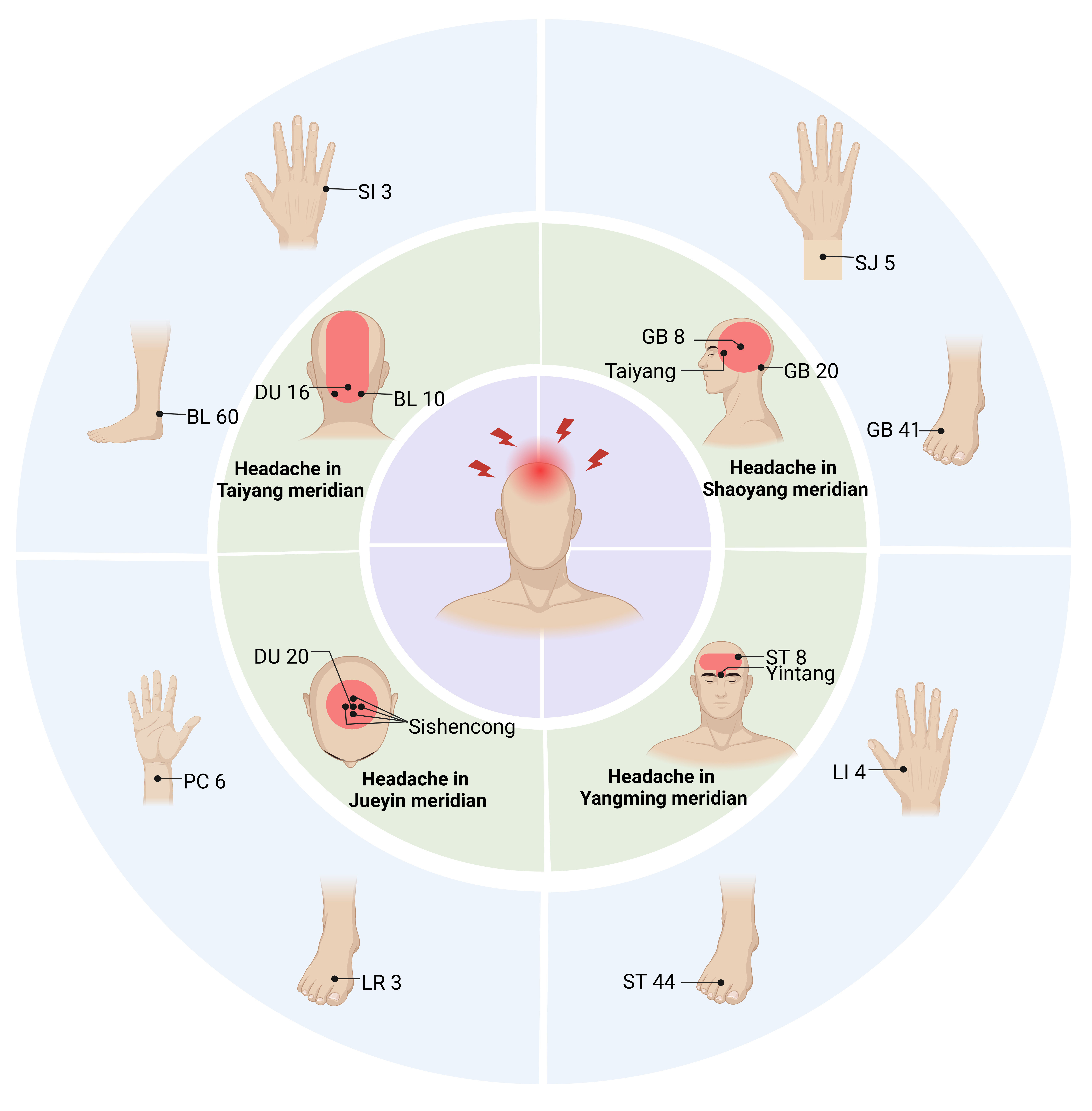 Journal of Oral & Facial Pain and Headache (OFPH)
